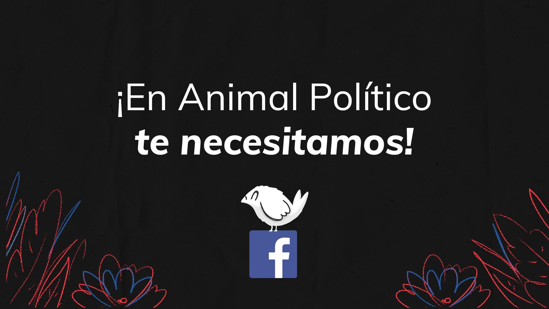 ¡Suscríbete a Animal Político! Con tu apoyo mensual, seguiremos ...
