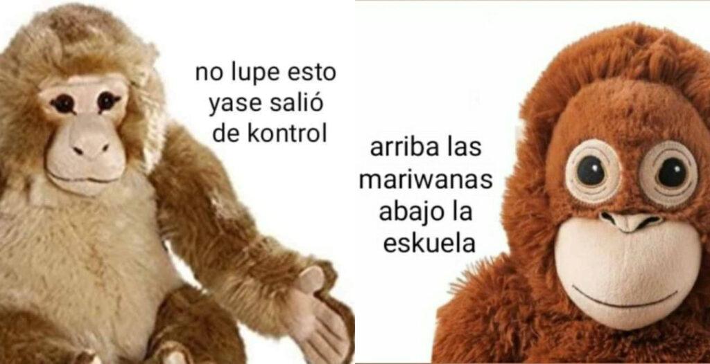 ‘Dos chabos, ay no’: *La sabiduría que Lupe y Joakin nos comparten con ...