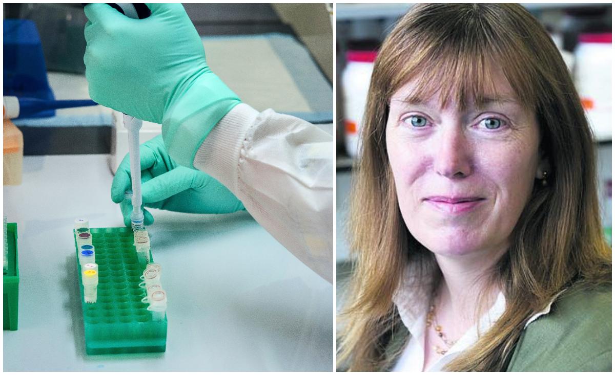 *Sarah Gilbert, la enorme científica de Oxford* que busca una vacuna ...