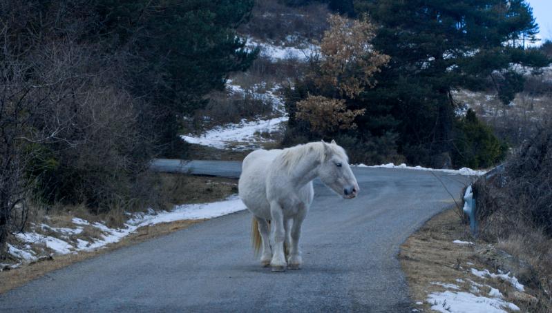 ‘Toloriu’, el documental fantástico de la princesa mexica que se ...