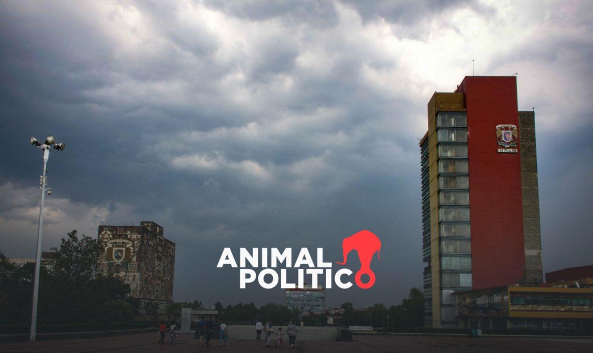 Defender la autonomía, presupuesto a la baja, violencia e inseguridad: los principales retos ...