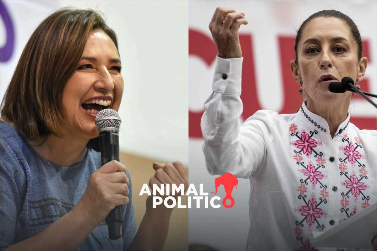 Rector de la UNAM sugiere que Xóchitl Gálvez y Claudia Sheinbaum no ...