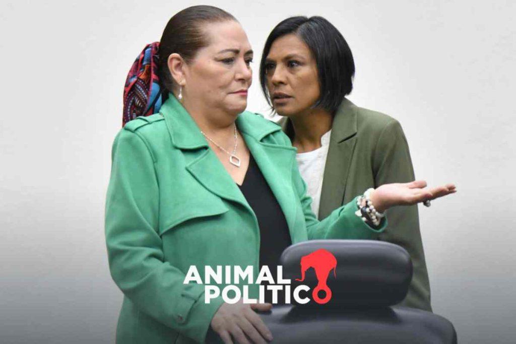 Guadalupe Taddei usa facultad que le otorga el Tribunal y hace su ...