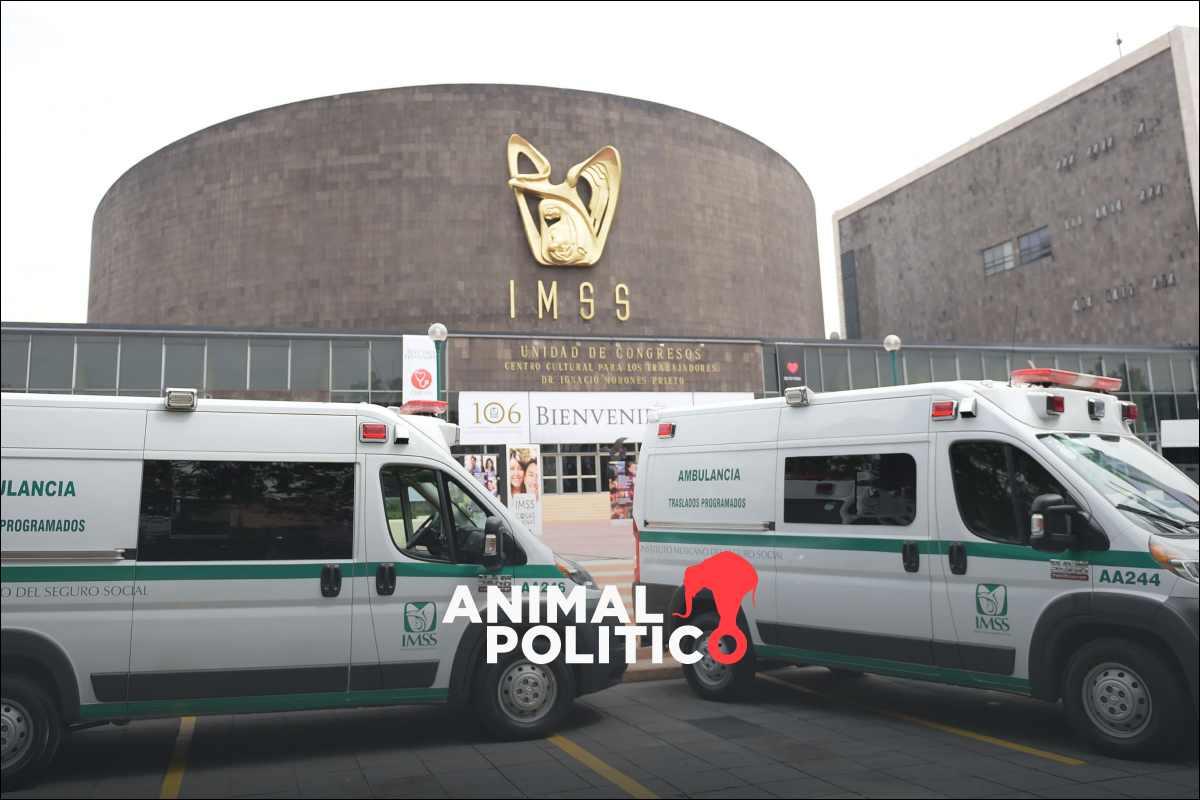 Mexicanos en el extranjero podrán afiliarse al IMSS, aquí te explicamos ...