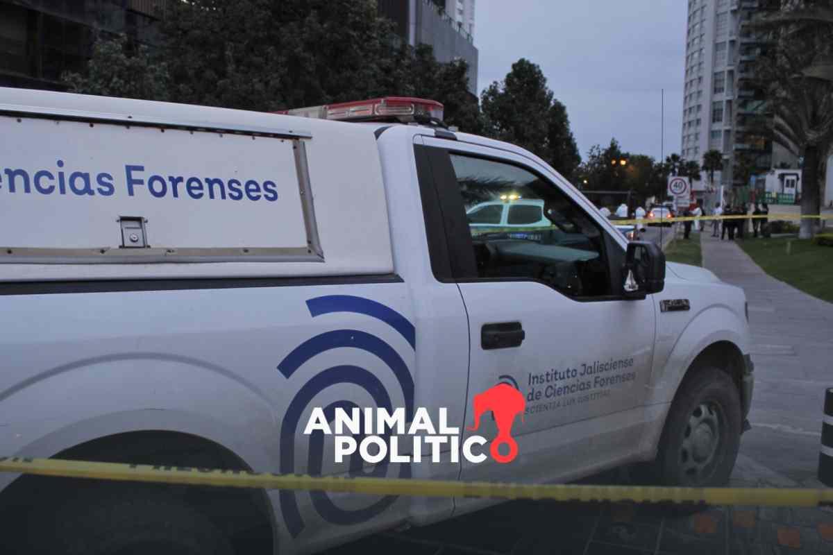 Jalisco: Enfrentamiento en Tlaquepaque deja 17 detenidos, un muerto y el hallazgo de segmentos ...