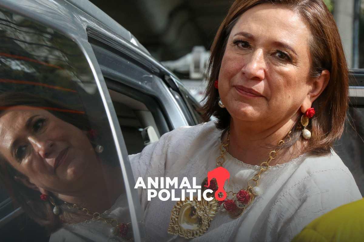 ¿Xóchitl Gálvez irá a la marcha por la democracia del 18 de febrero ...