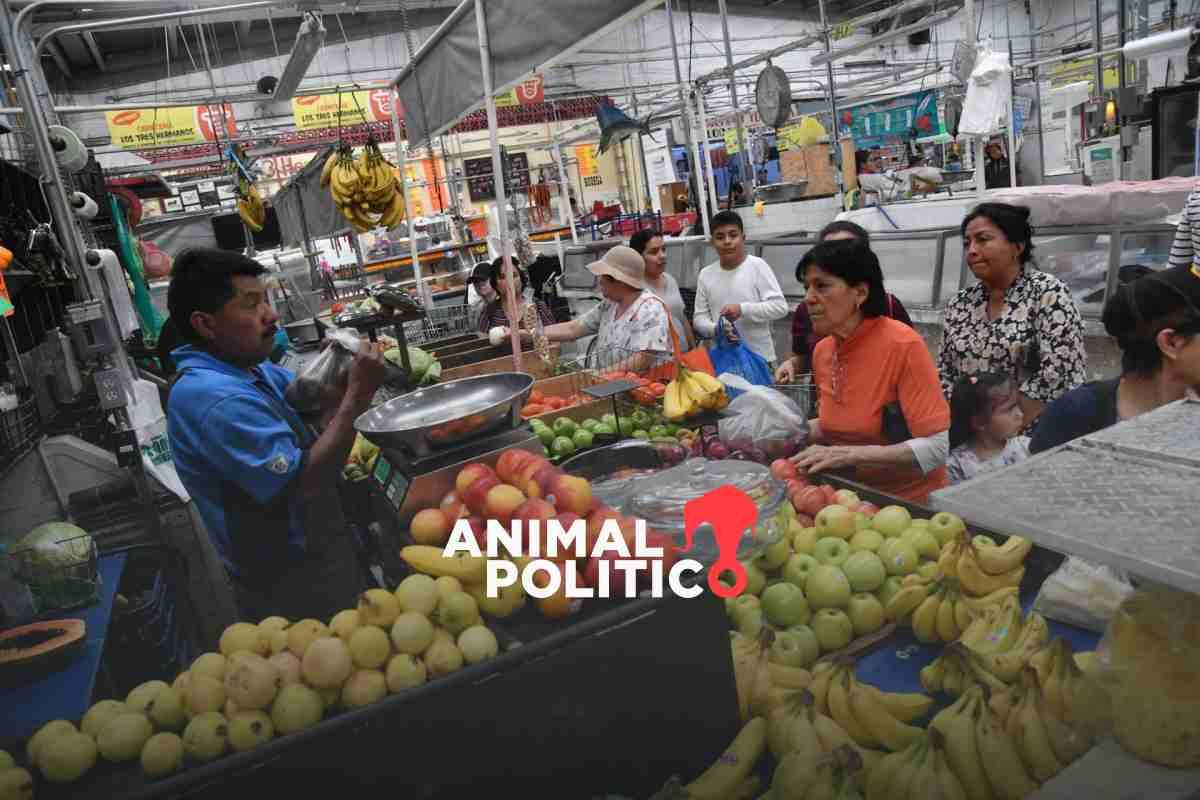 ¿Buscas rentar depa? Te contamos en qué consiste el programa de vivienda para jóvenes en la ...