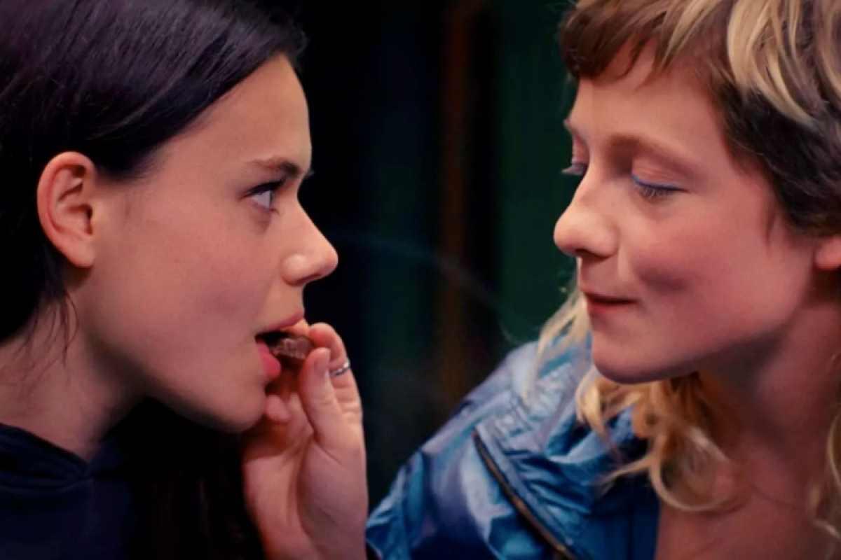 Animal MX - Entretenimiento