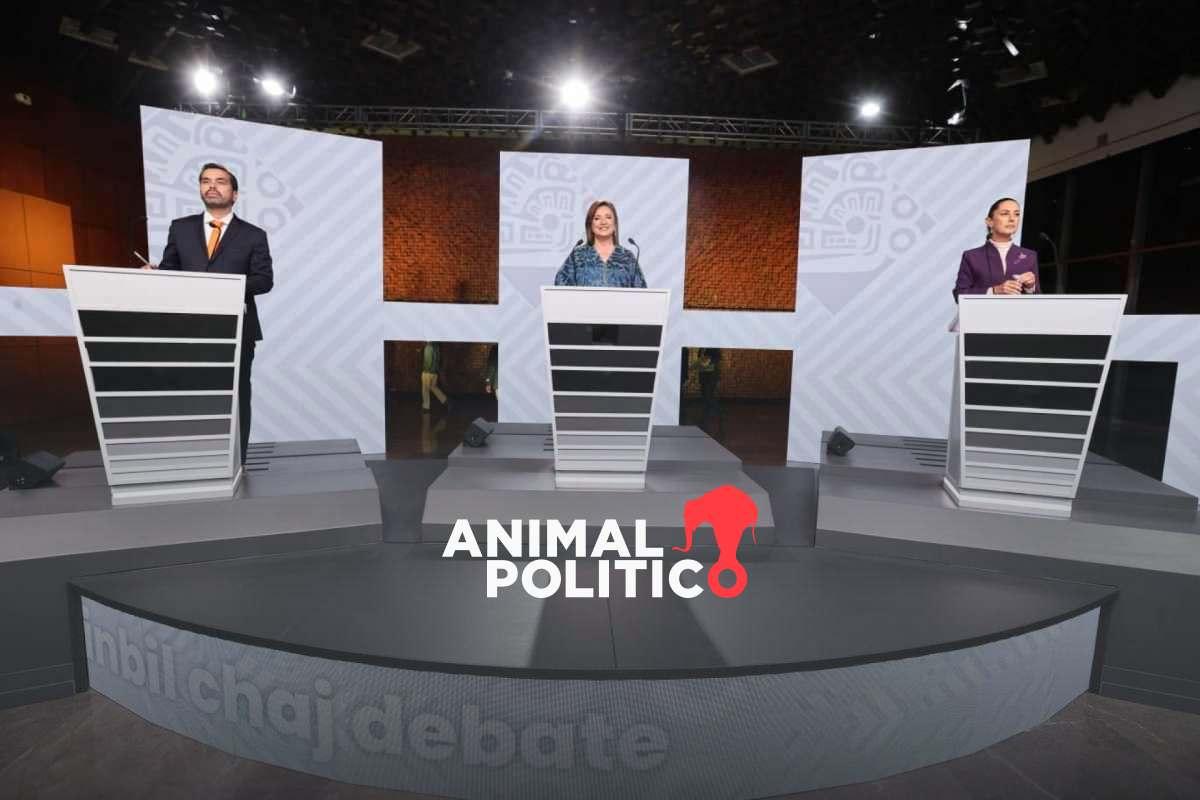 Animal Politico