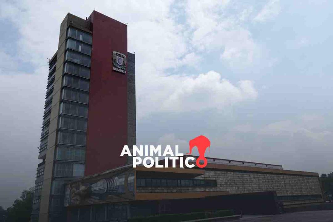 Animal Politico - Politica