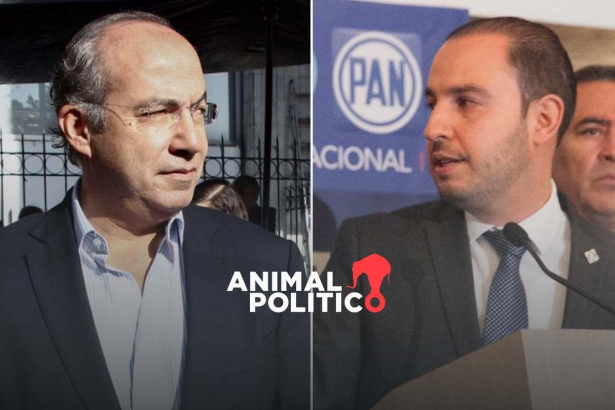 Felipe Calderón culpa a Marko Cortés de la debacle del PAN; el líder ...