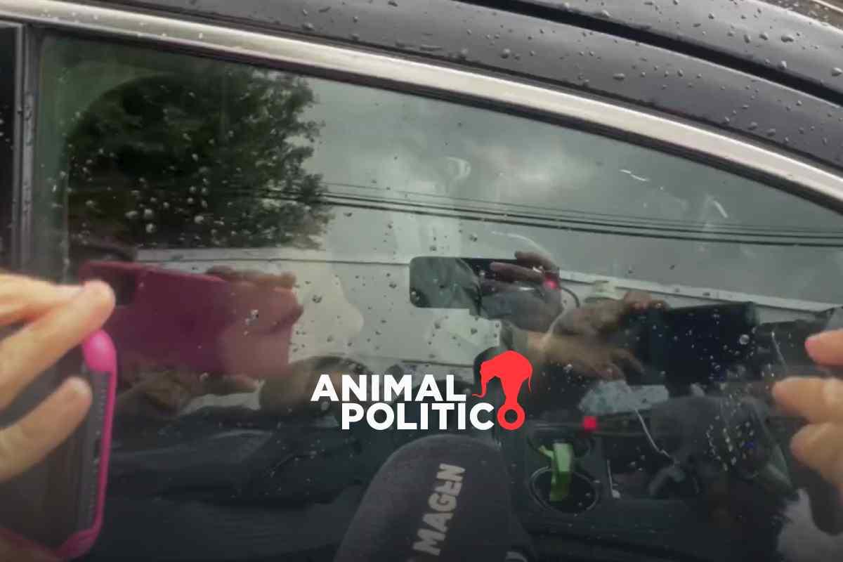 Gonzalo López Beltrán, hijo de AMLO, llega a la casa de transición de ...