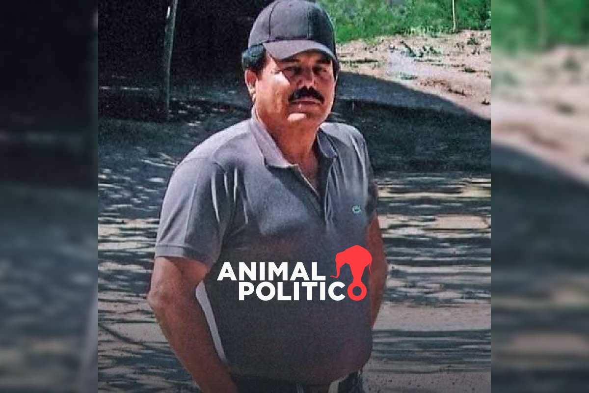 “El Mayo” Zambada tendrá su primera audiencia este viernes en Nueva ...