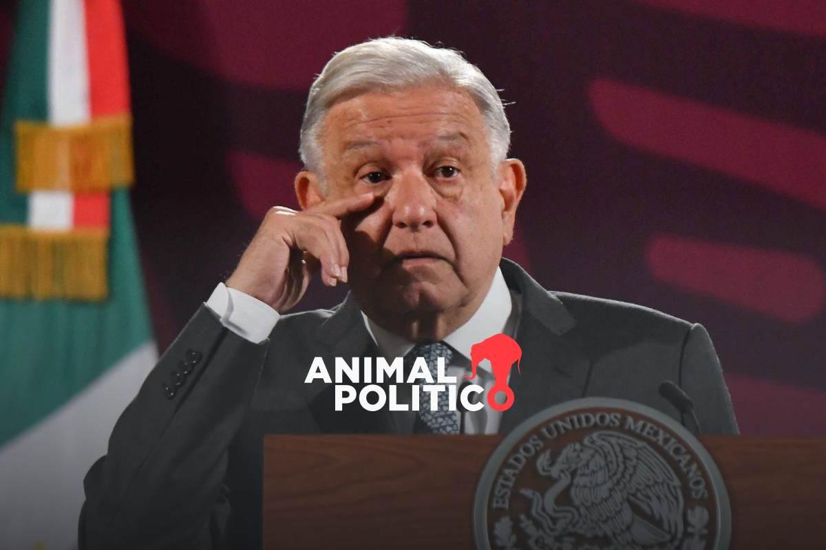 AMLO anuncia que Alicia Bárcena no participará en reunión de la OEA ...