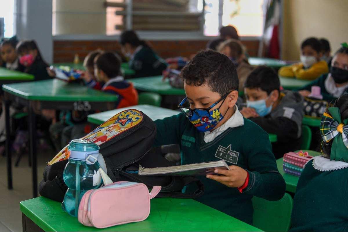 Fin del ciclo escolar: así puedes descargar la boleta de calificaciones ...