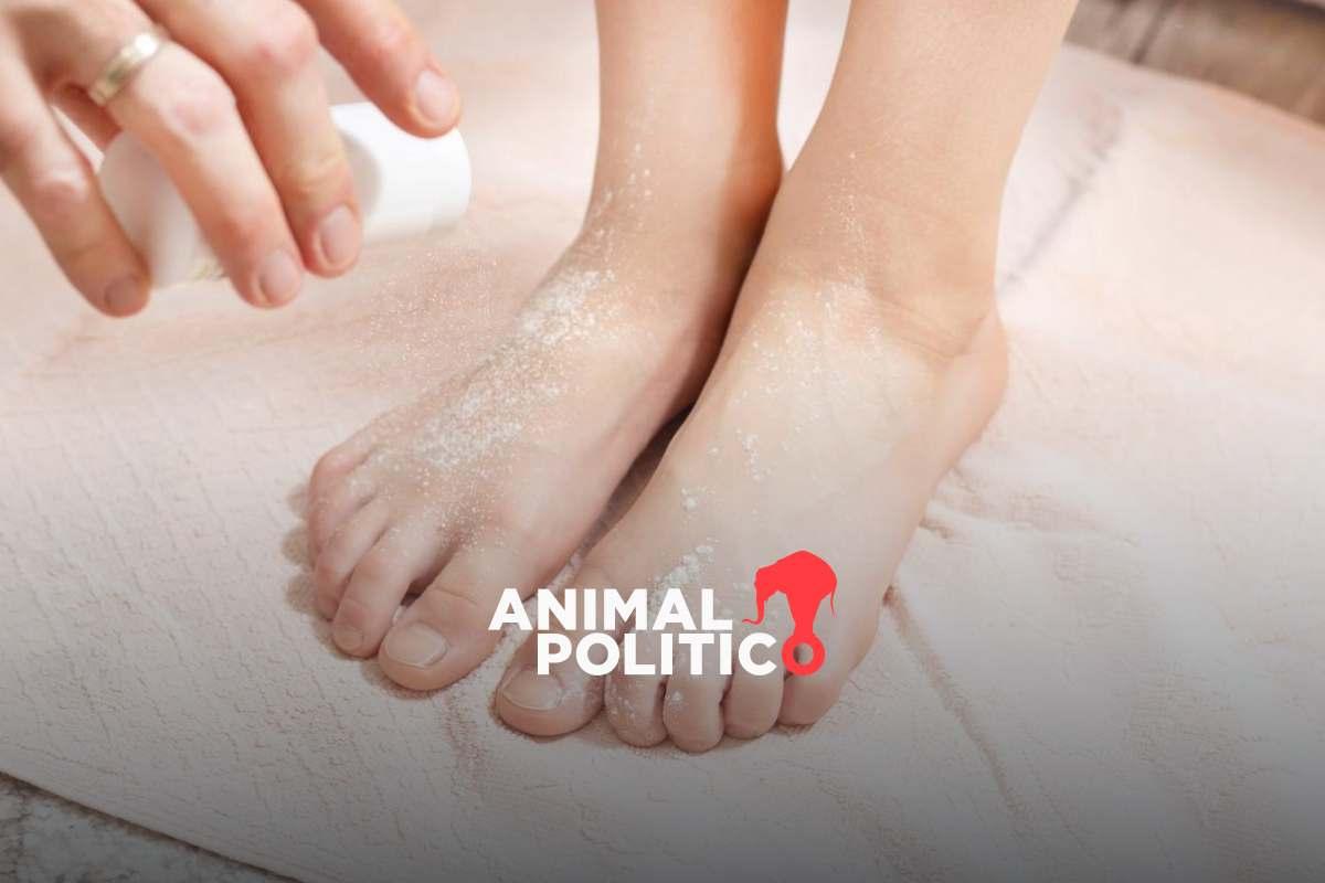 La Organización Mundial de la Salud clasifica al talco como ...