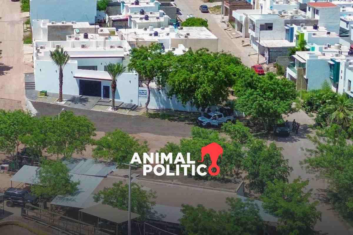 Ovidio y Joaquín Guzmán López, hijos de “El Chapo”, negocian acuerdo ...