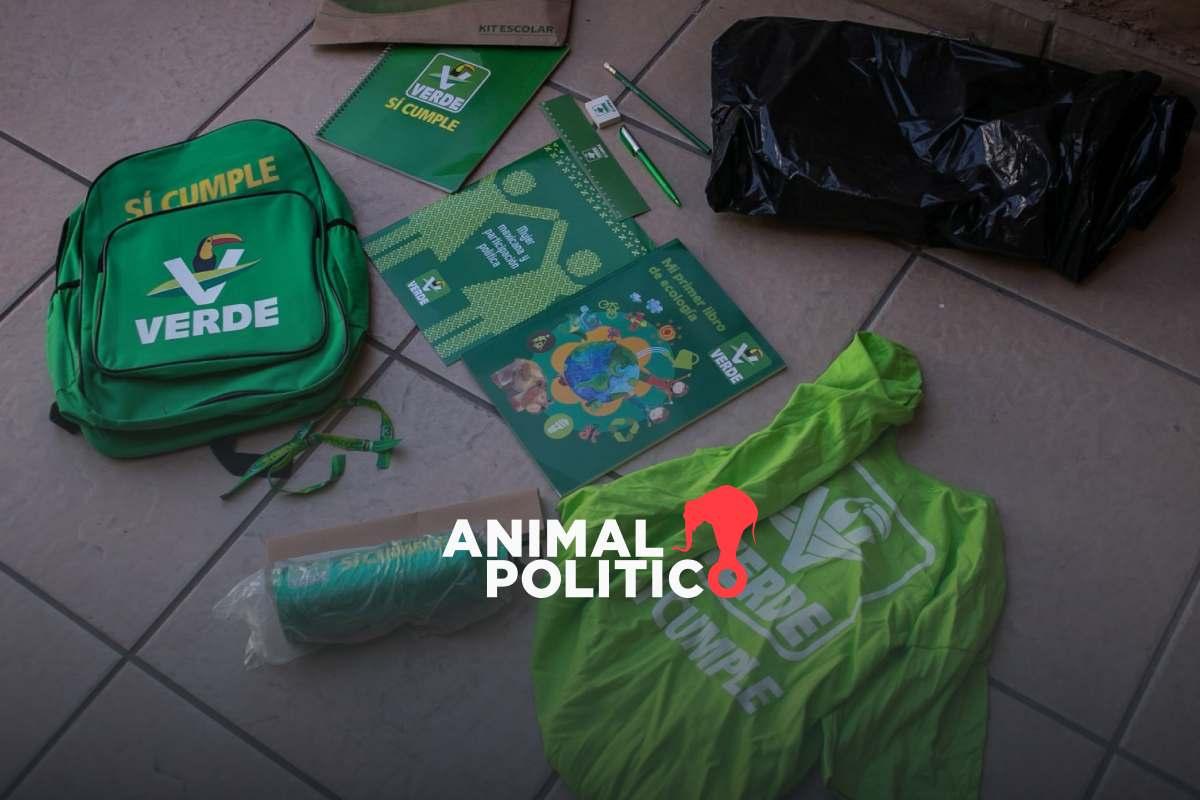 Partido Verde fue el menos ecologista, incumplió normas de reciclaje en ...