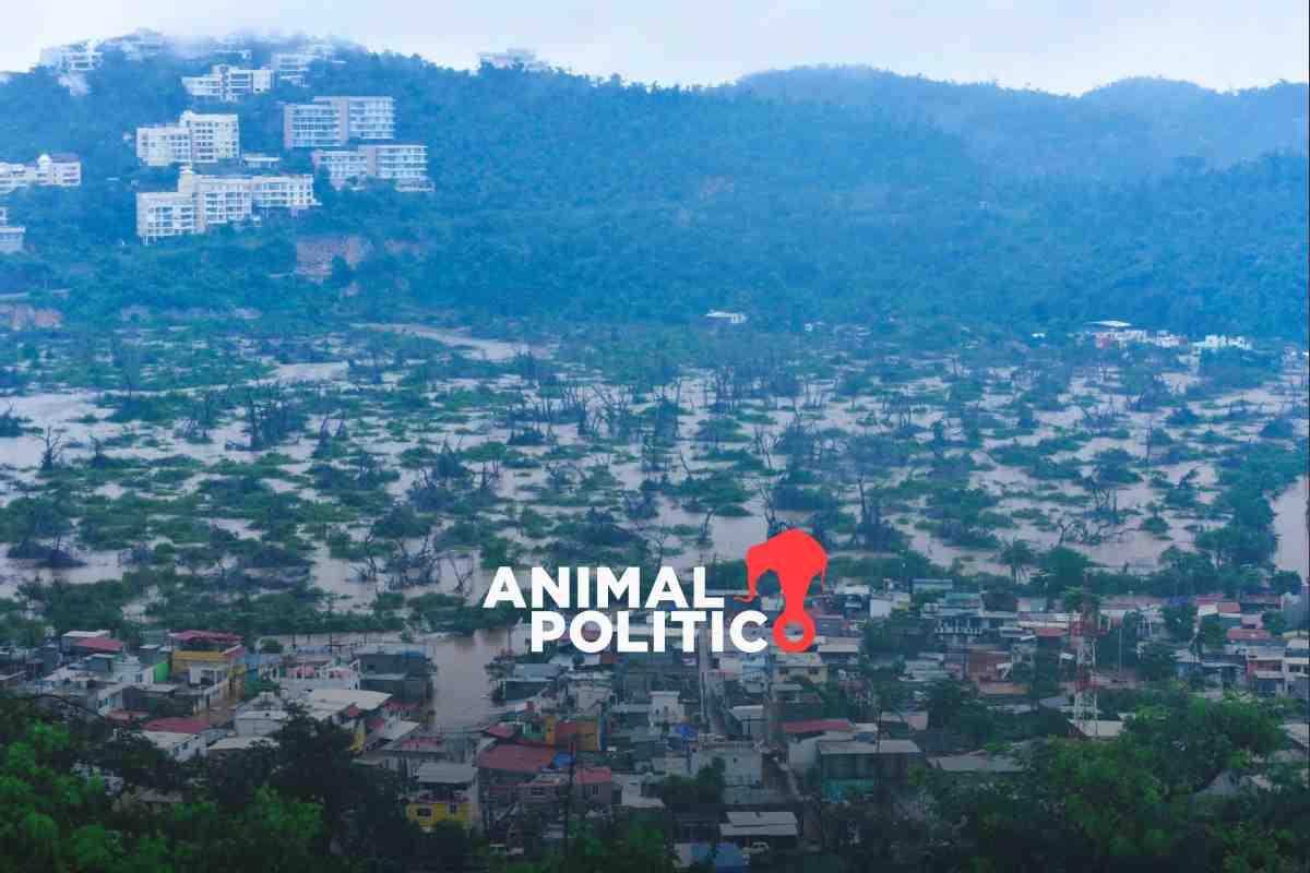 Tras el paso del huracán John, así recibe Acapulco a Sheinbaum en su ...