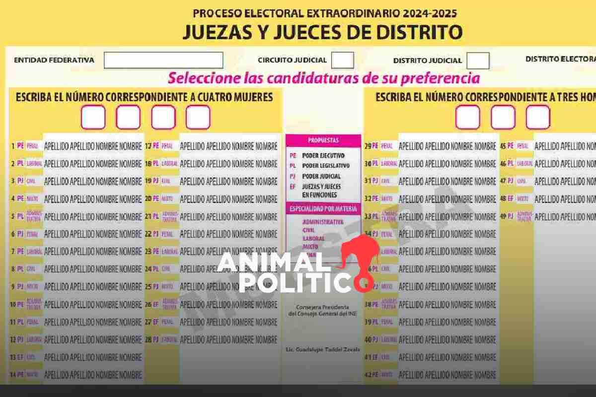 Comisión del INE aprueba diseño de boleta para elección judicial; serán de colores y de dos tamaños