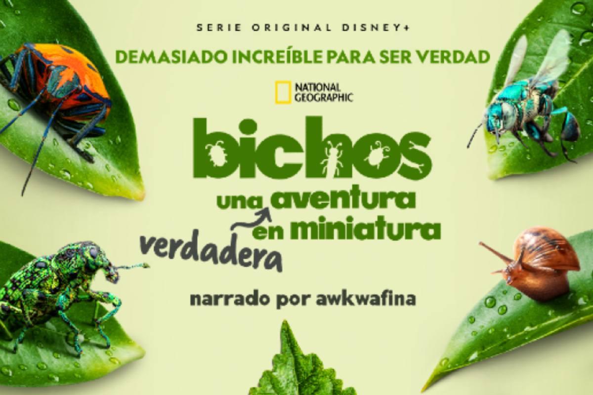 ‘Bichos: una verdadera aventura en miniatura’, la serie que cambiará tu ...