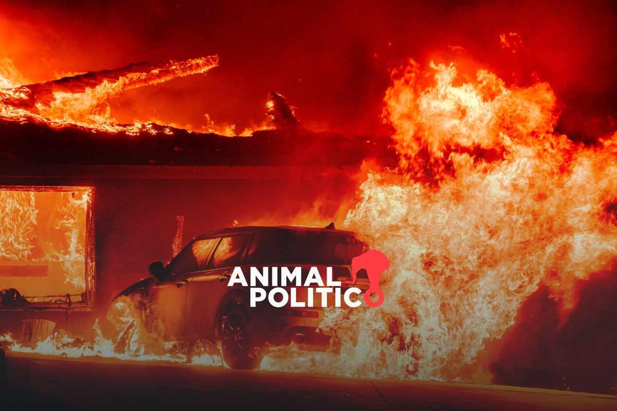 Incendios en Los Ángeles: al menos cinco muertos, miles de personas evacuadas y comunidades ...
