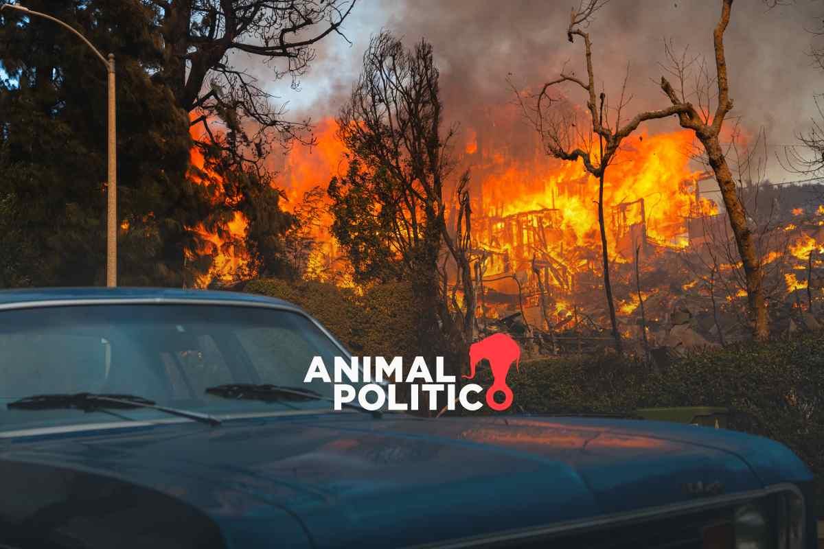 Relaciones Exteriores descarta mexicanos afectados por incendios en Los Ángeles; activa números ...