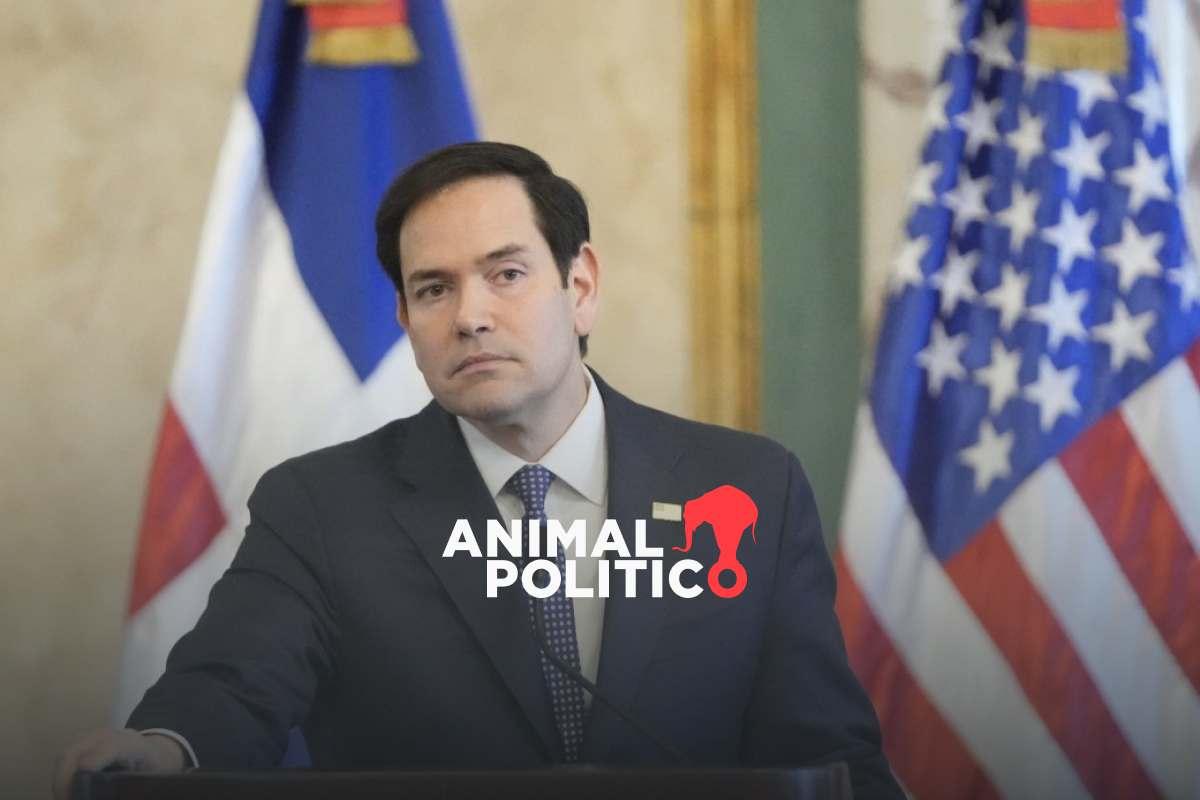 Internacional - Notas