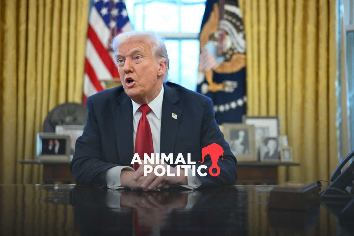 ‘Engaño’: reparto, sinopsis y todo sobre la serie italiana del momento