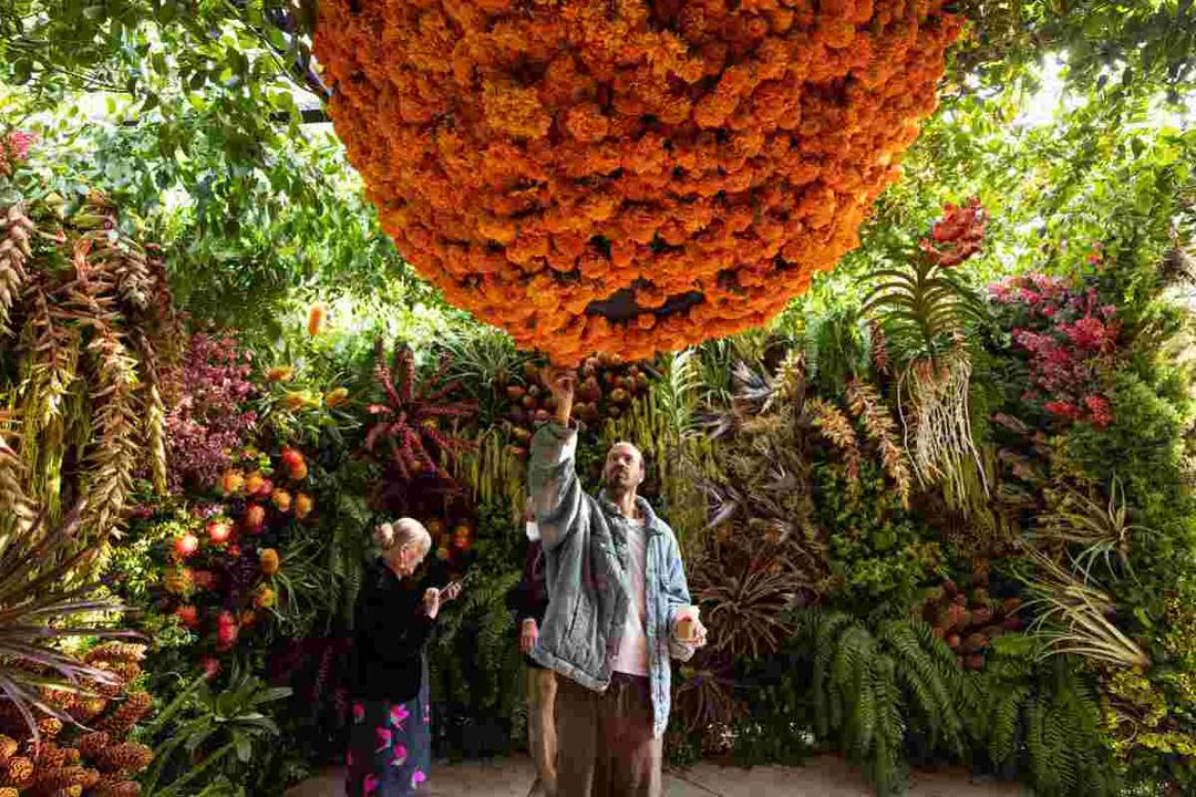 Ya empieza el Festival de flores y jardines 2025 en CDMX: fechas ...