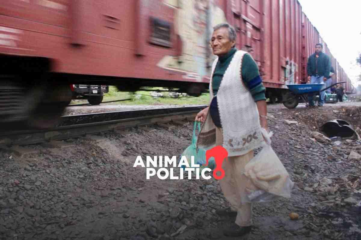 Leonila Vázquez, ‘La Patrona de Las Patronas’ que ayudó y alimentó a ...