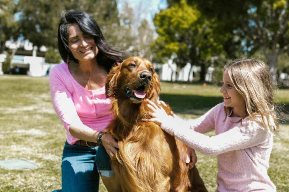 ‘Todo chiquito, todo panson’: *El origen del perrito panzón y sus ...