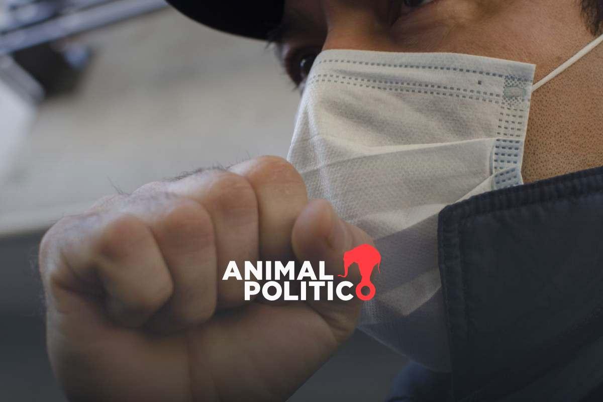 Salud registra 288 casos de tos ferina en México en lo que va del año ...