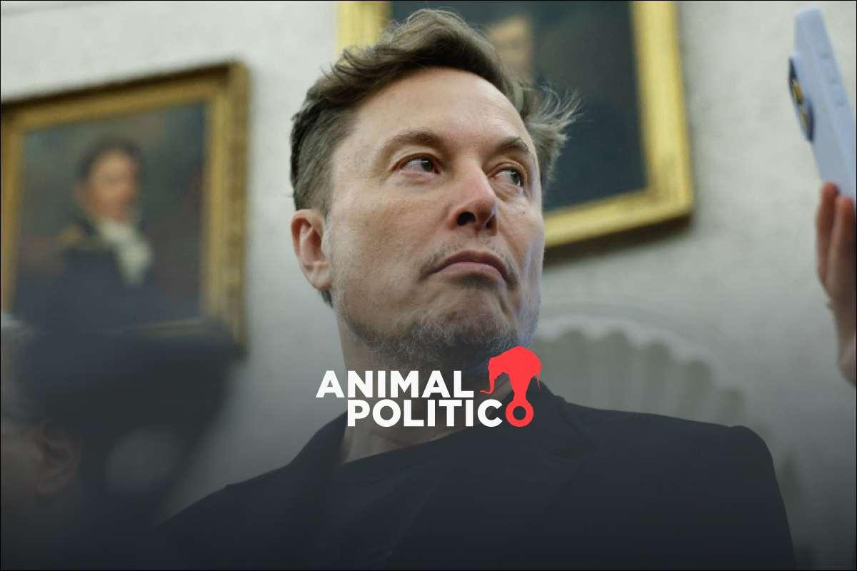 Elon Musk deja su cargo en la administración de Donald Trump