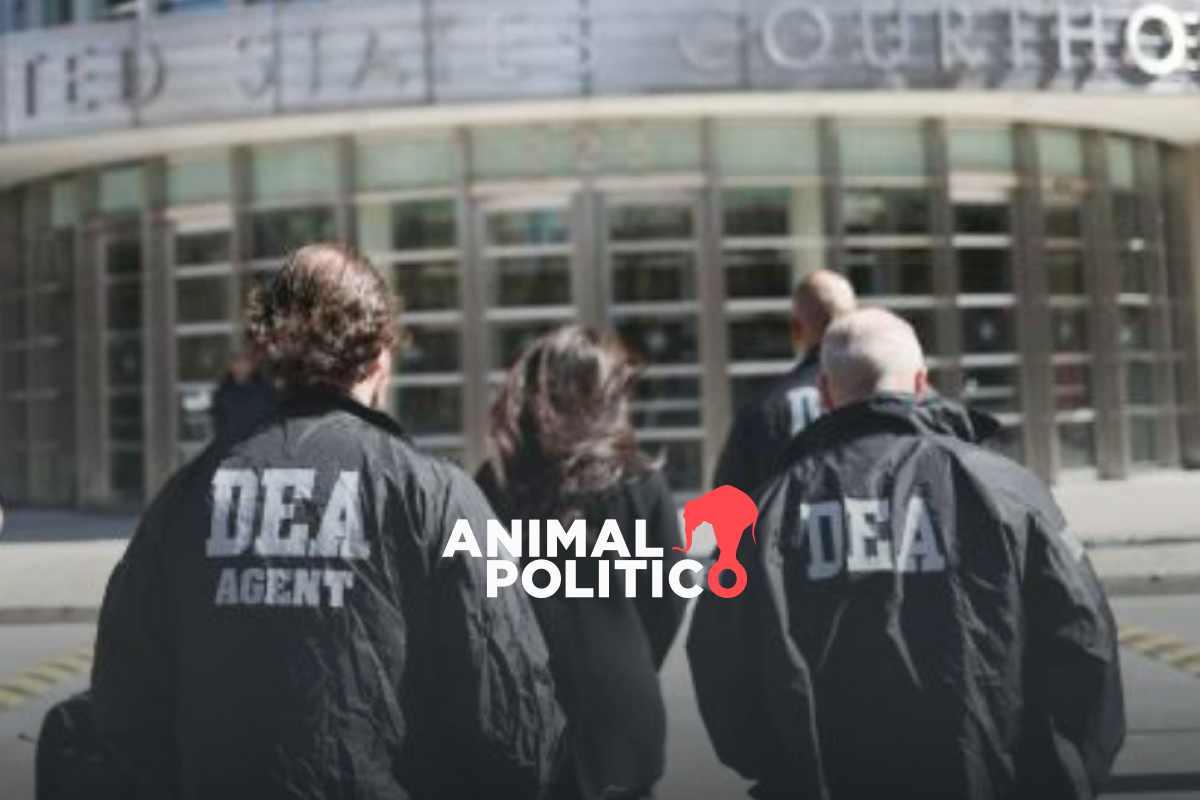 “Estamos entre ustedes”, CJNG vigiló a agentes de la DEA durante juicio ...