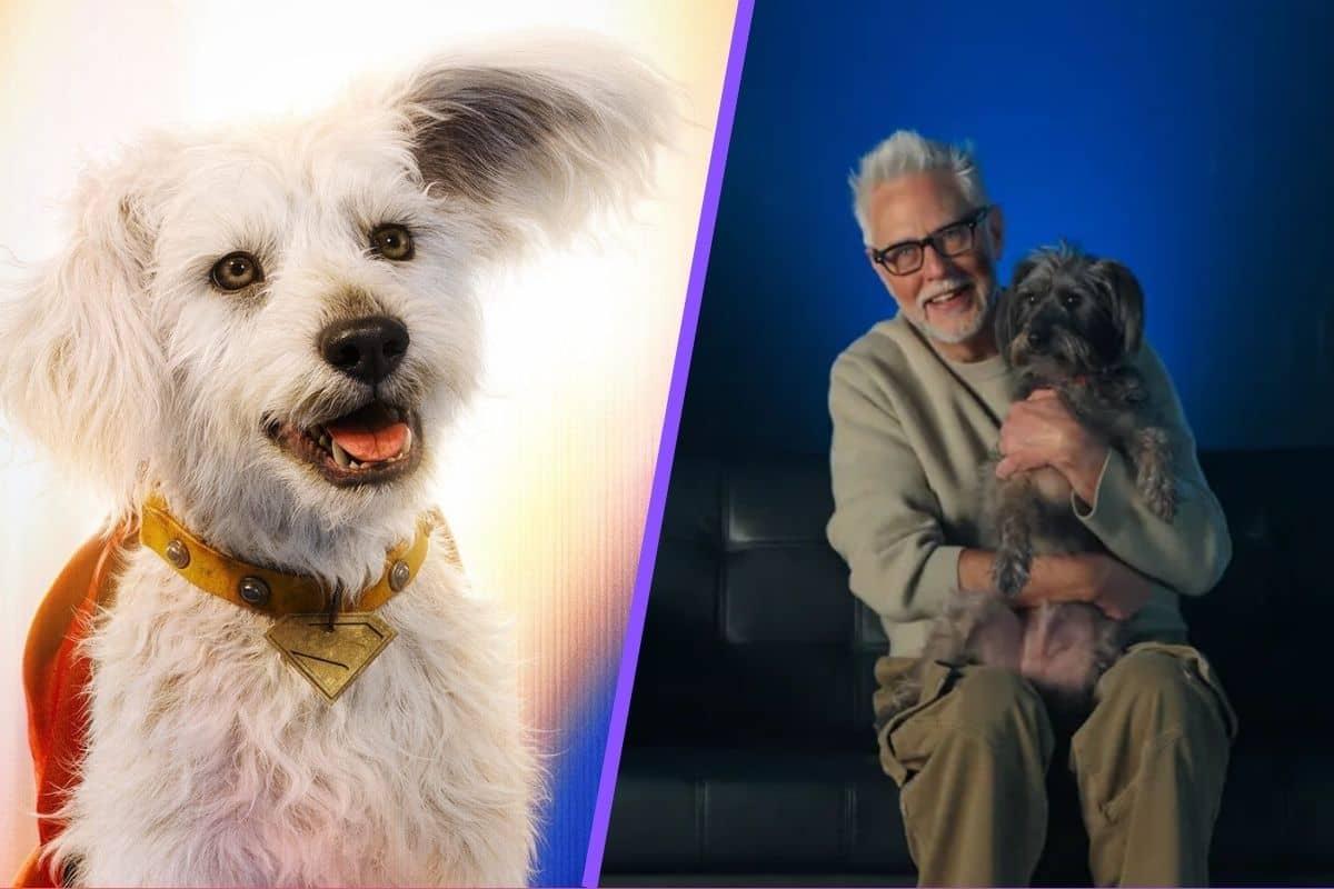La emotiva historia detrás de Krypto en “Superman”: James Gunn hace ...