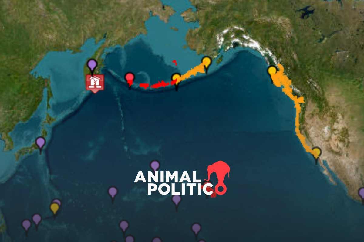 Terremoto en Rusia activa alerta de tsunami en el Pacífico: Japón ...
