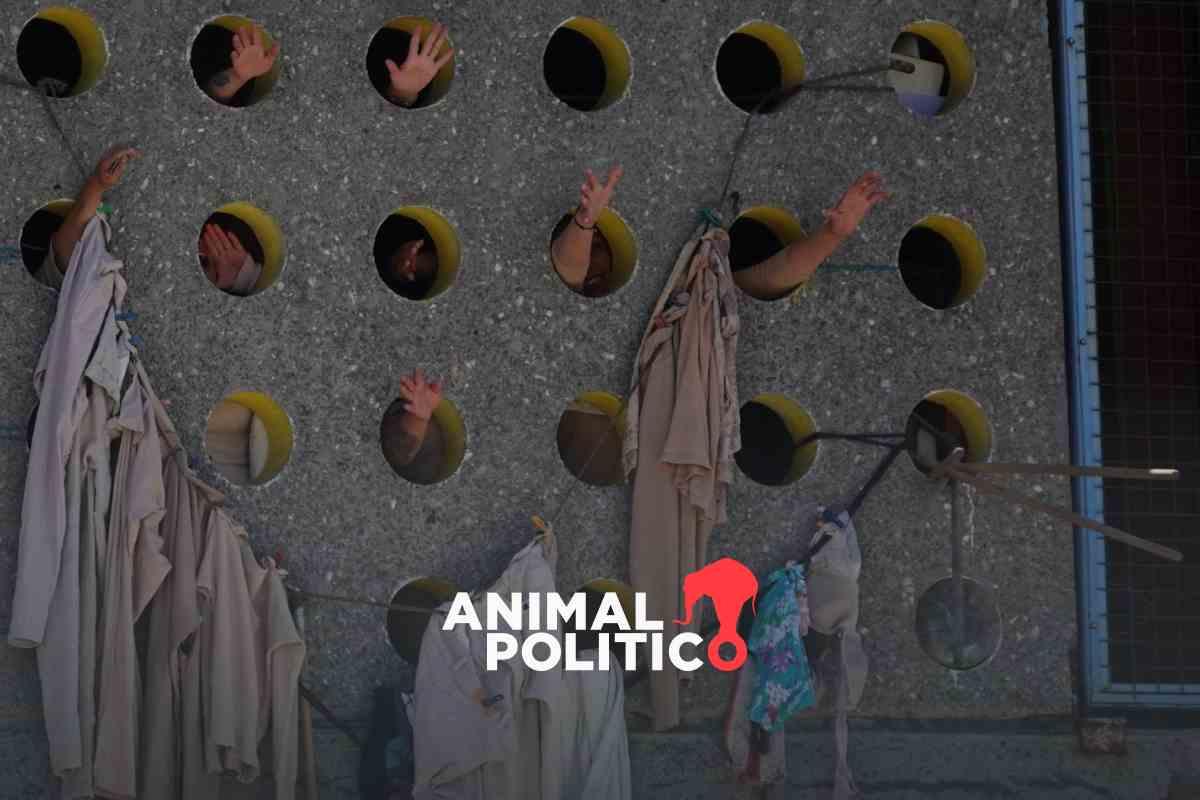 Animal Politico - Genero y Diversidad