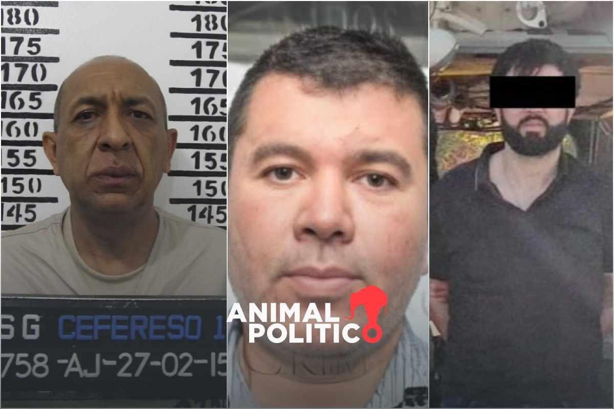 El líder de los “Cuinis”, “La Tuta” y cercanos a “Los Chapitos”: entre ...