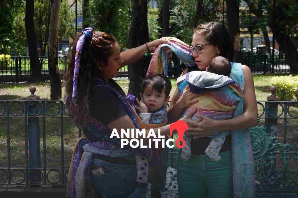 Gobierno De México No Contemplará Presupuesto Adicional Para Cuidados 8330