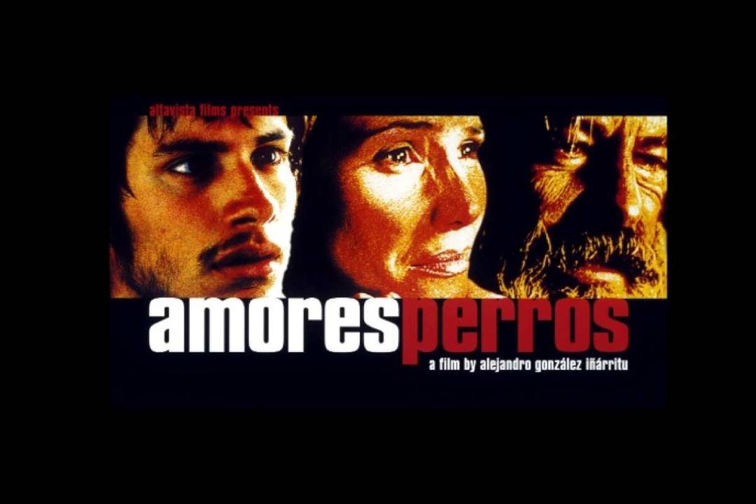 Orden cronológico de ‘John Wick’: ¿dónde se ubica ‘Bailarina’ en la ...