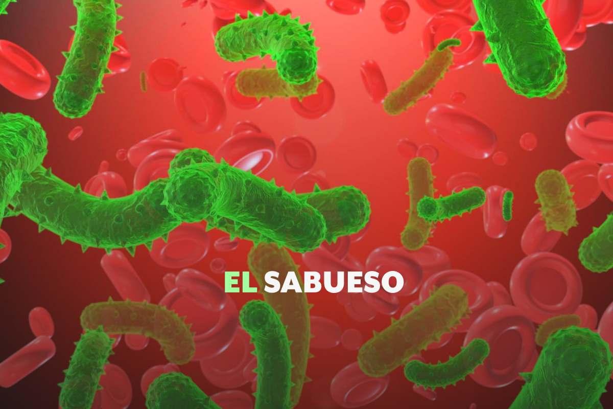 ¿Qué es la rabia y por qué puede ser mortal?