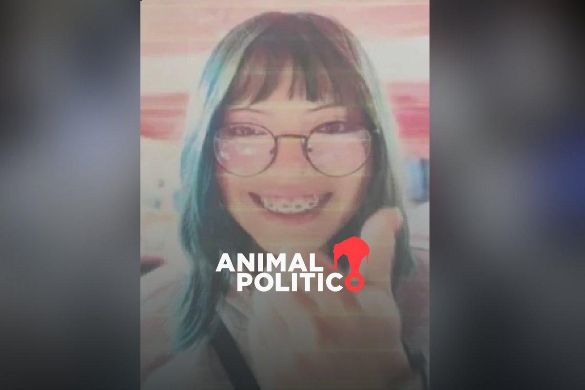 Osa “Mina” rescatada de zoológico en Nuevo León está en condición ...