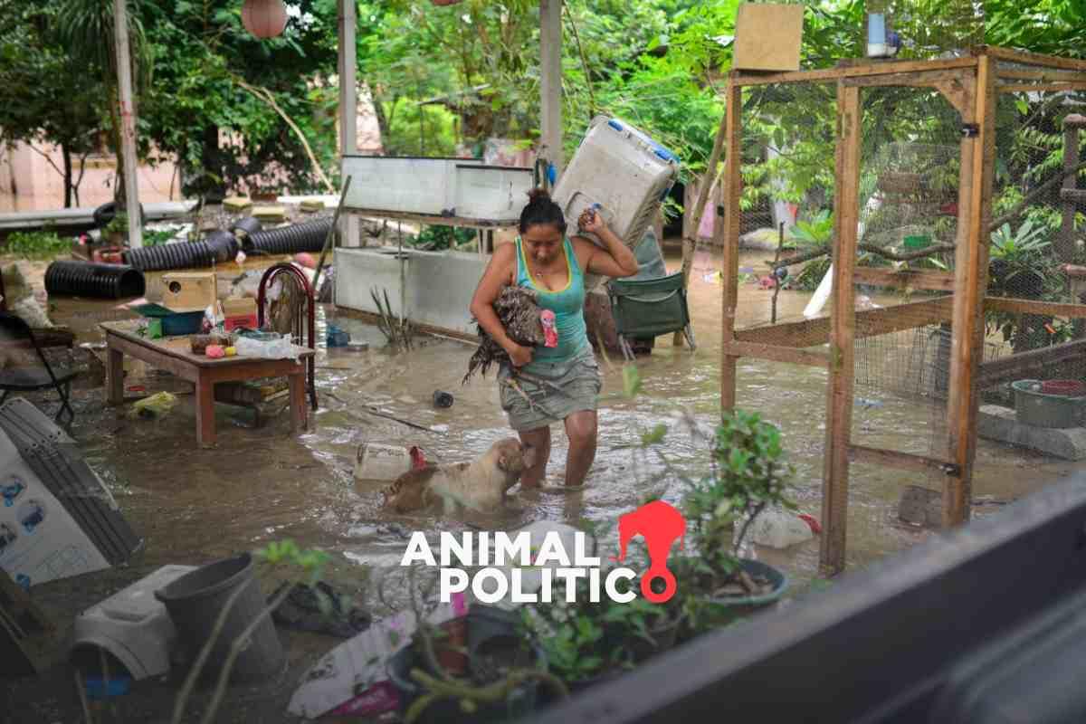 Dónde están los centros de acopio para damnificados por las lluvias y qué puedo llevar