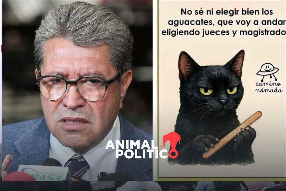 “No va a pasar”, adelanta Monreal sobre iniciativa de Morena que ...