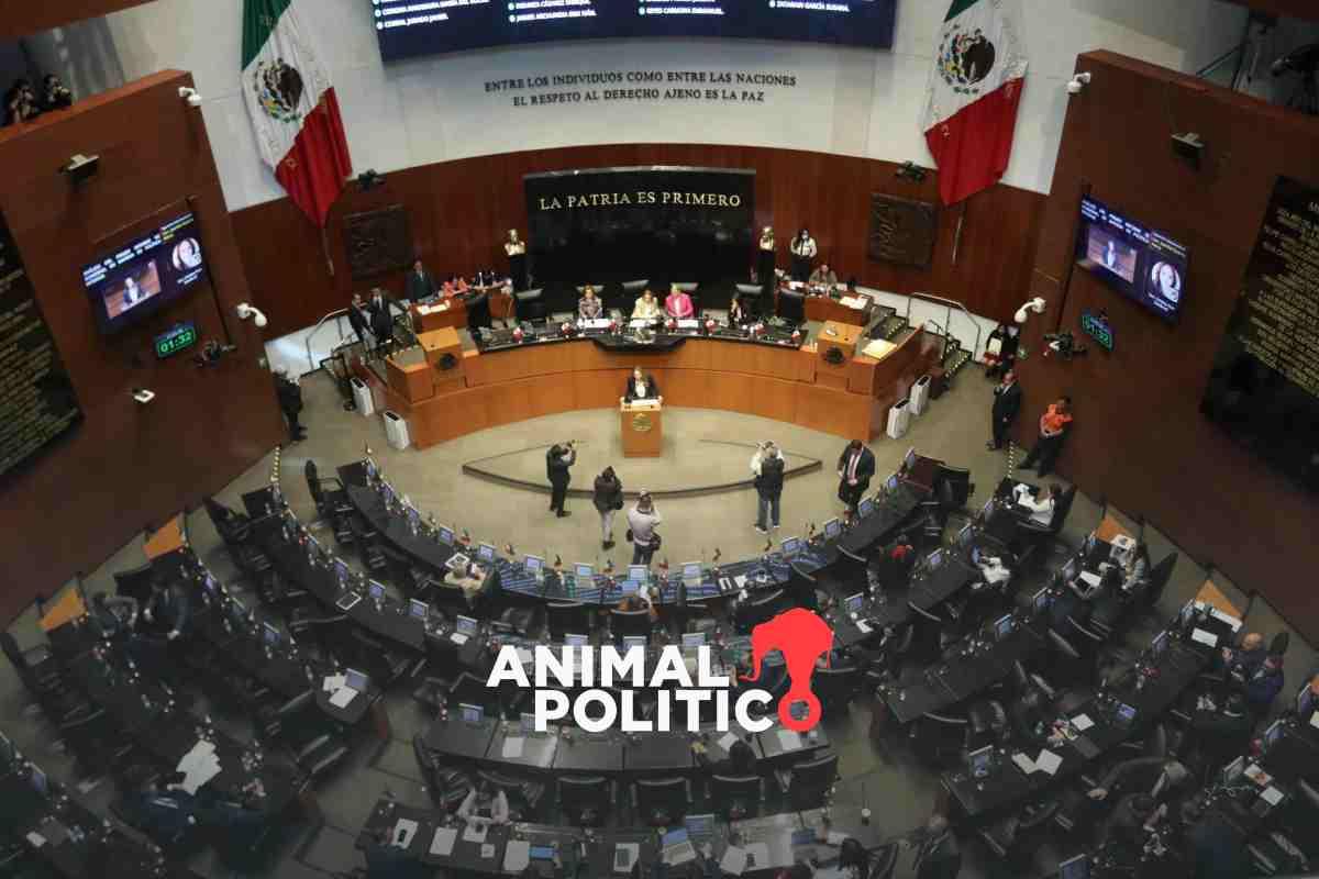 Sheinbaum Rechaza Retroactividad En Reforma A La Ley De Amparo Y Pide 9824